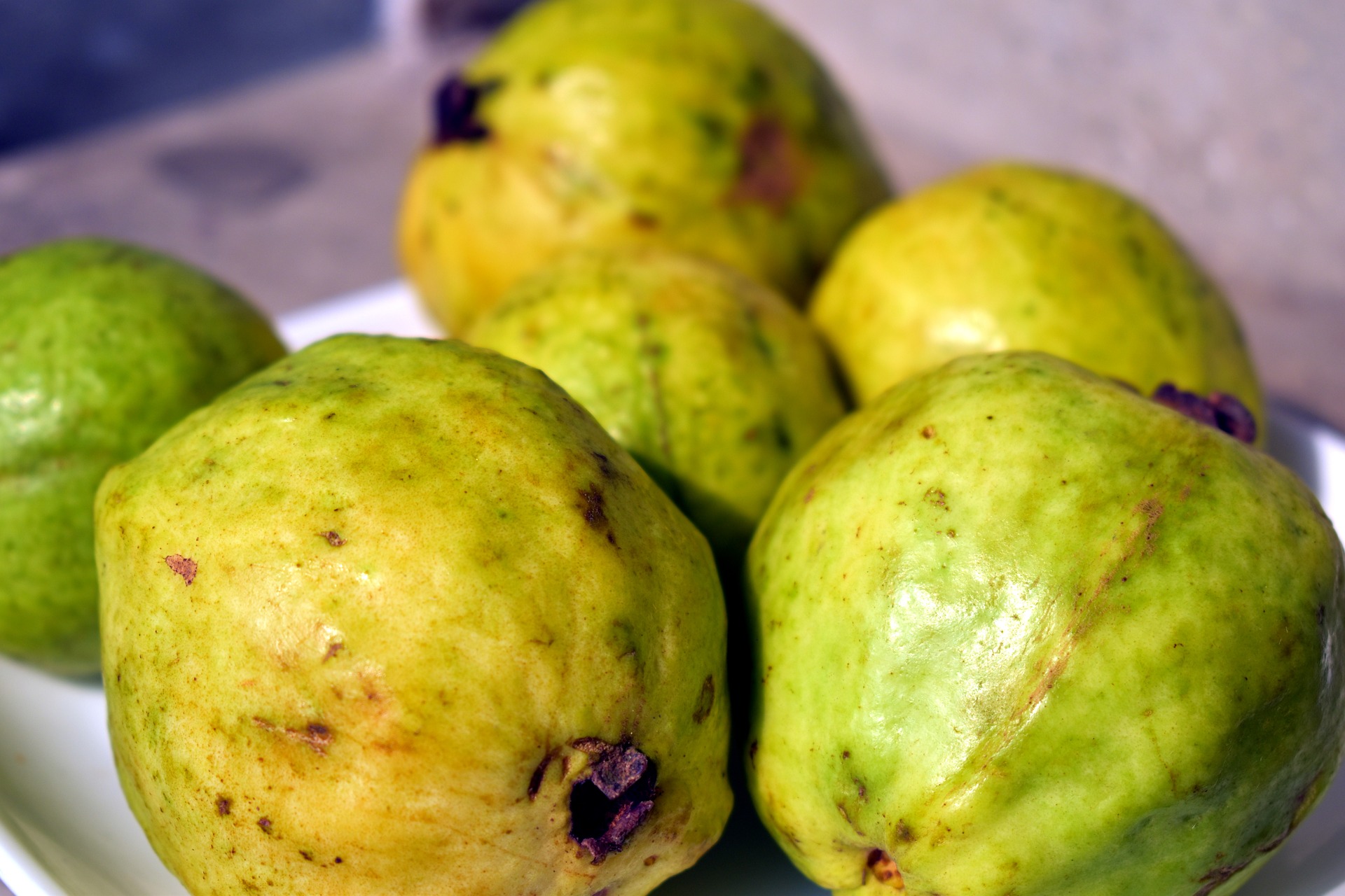 Guava | Früchte | Amazonia Fruit